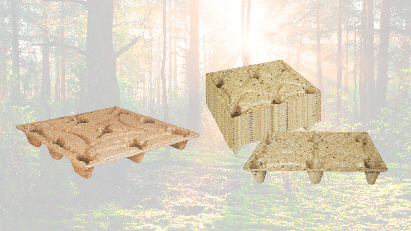 Guide de la Fabrication des Palettes Moulées en Bois : Processus ...